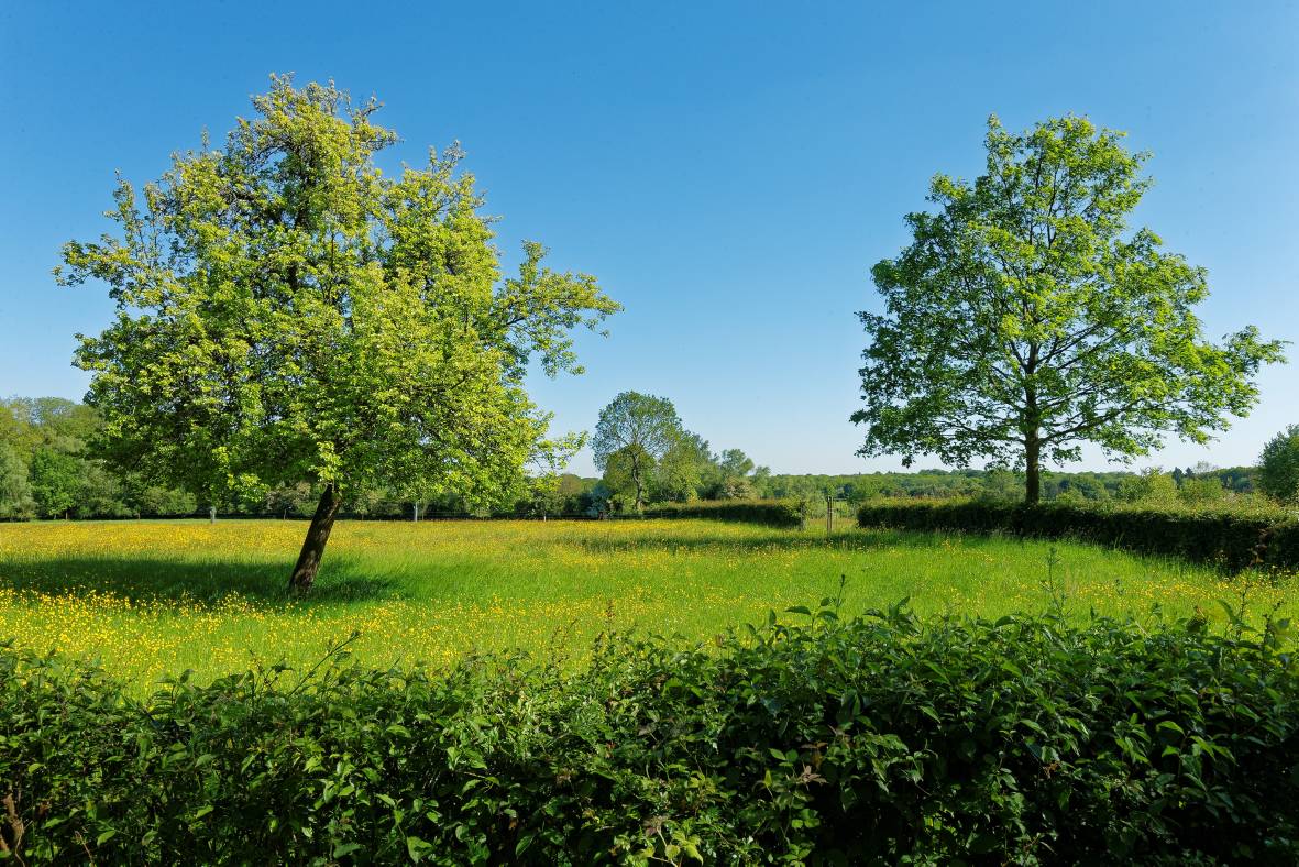 Paysage PNR Avesnois | Fédération des Parcs naturels régionaux