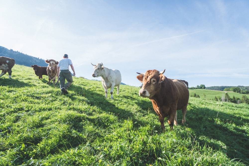L’élevage extensif et agroécologique, une solution à la crise ...