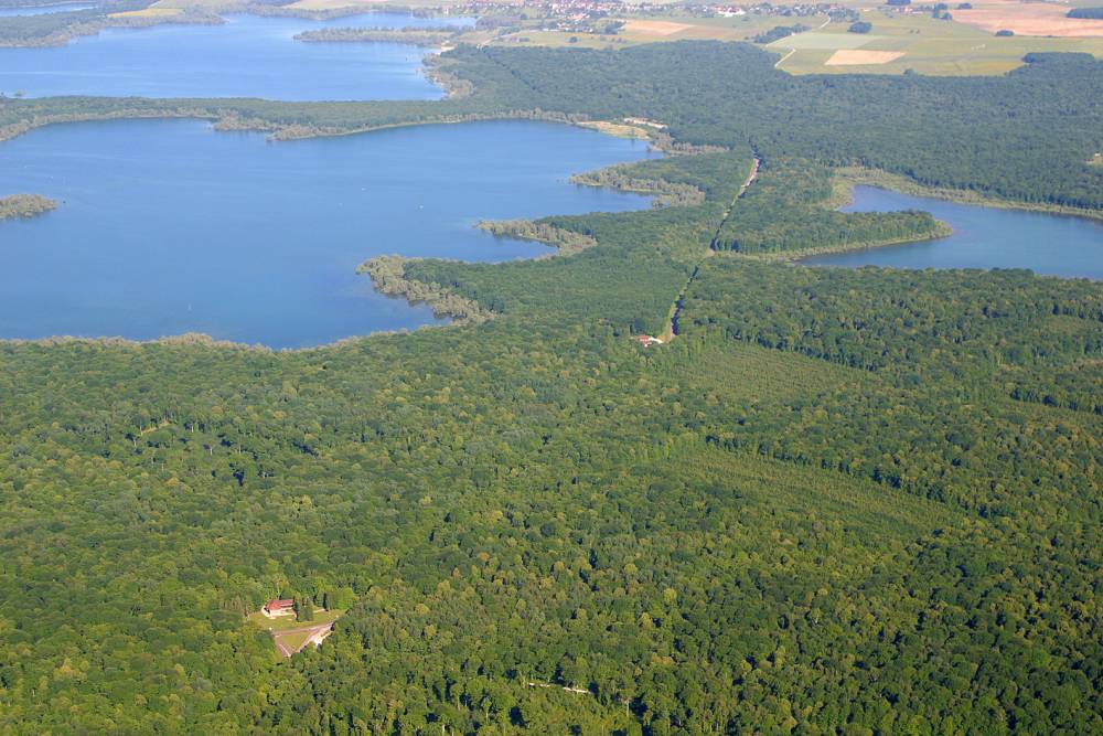 Parc naturel régional de la Forêt d'Orient | Fédération des Parcs ...