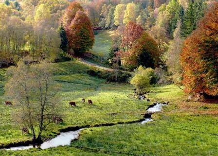 Parc naturel régional de Millevaches en Limousin | Fédération des Parcs naturels régionaux
