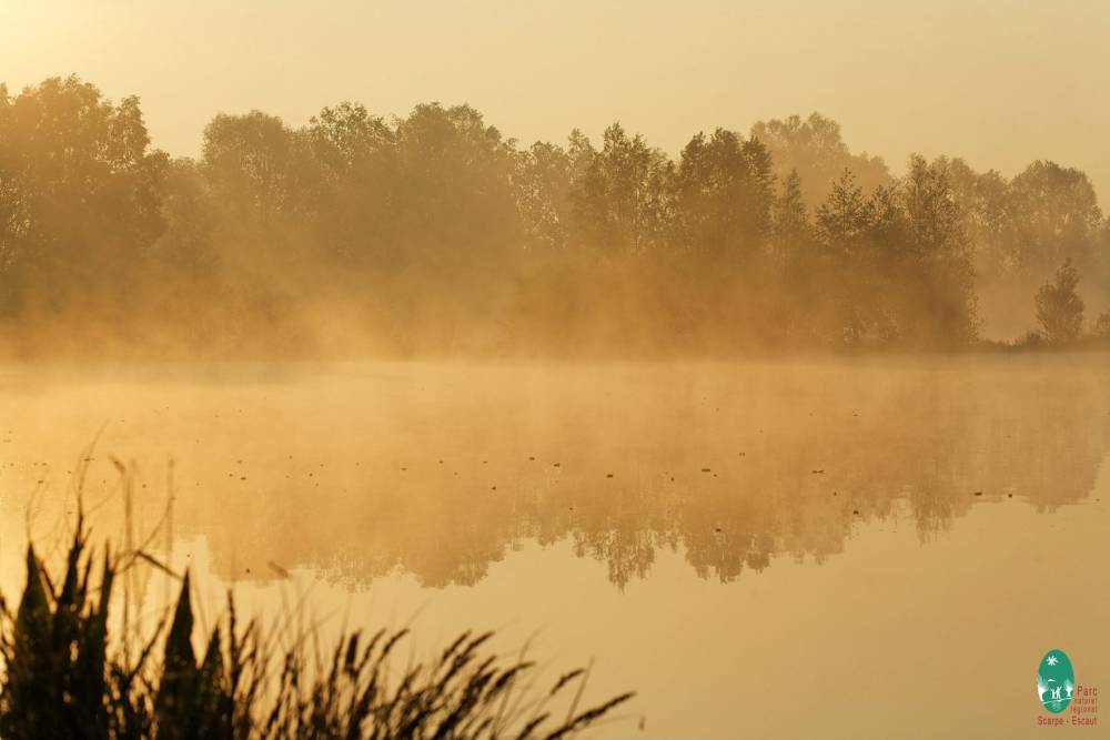 Scarpe-Escaut | Fédération des Parcs naturels régionaux