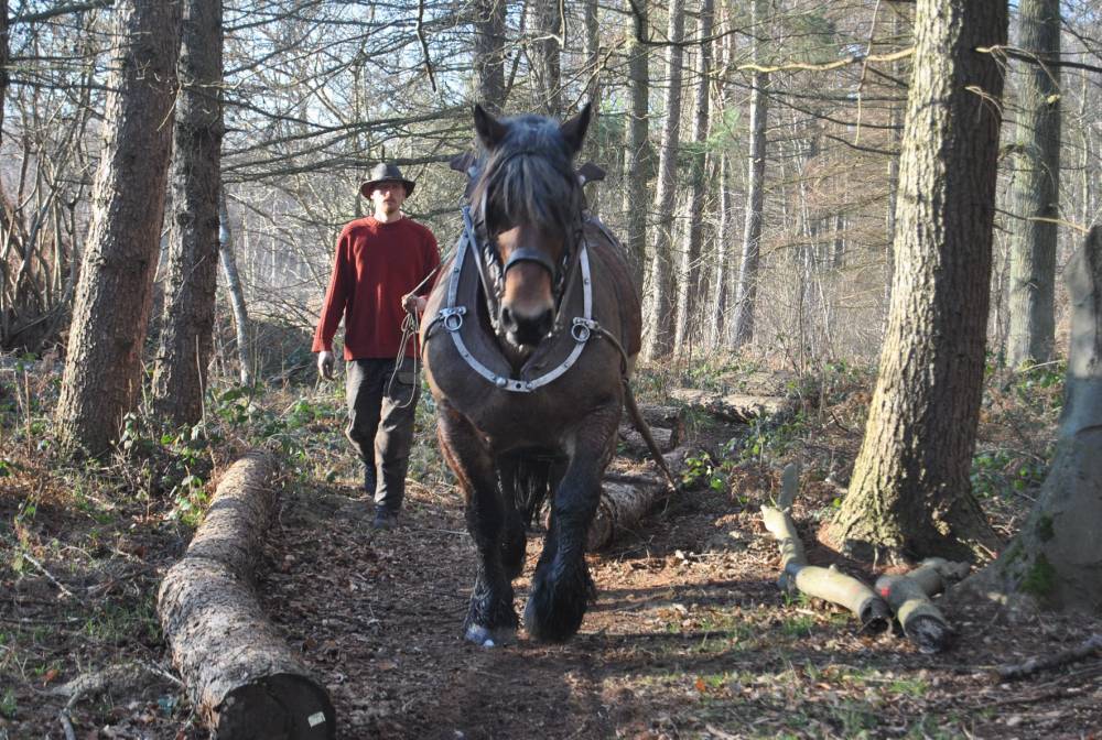 Scarpe-Escaut | Fédération des Parcs naturels régionaux