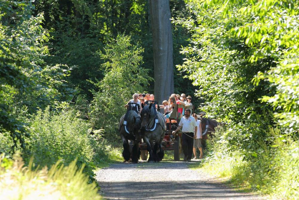 Scarpe-Escaut | Fédération des Parcs naturels régionaux