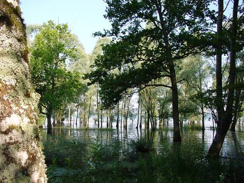 Parc naturel régional de la Forêt d'Orient | Fédération des Parcs ...