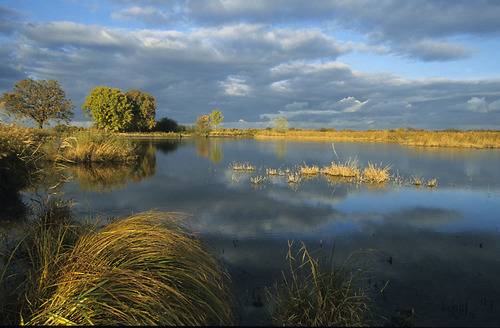 Parc naturel régional de la Brenne | Fédération des Parcs naturels ...