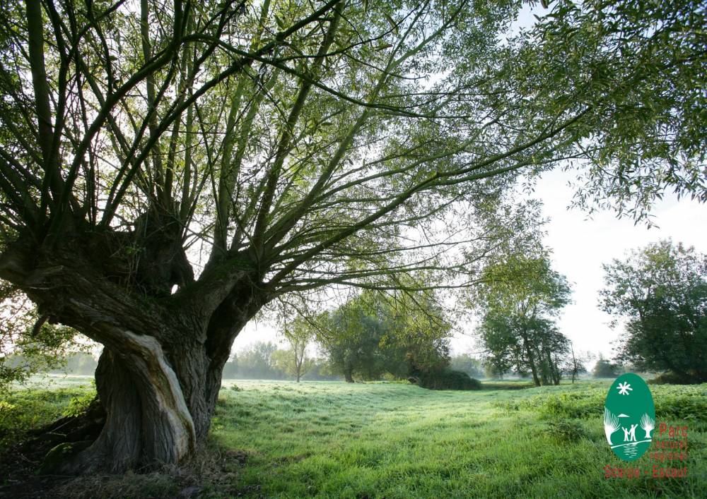Scarpe-Escaut | Fédération des Parcs naturels régionaux