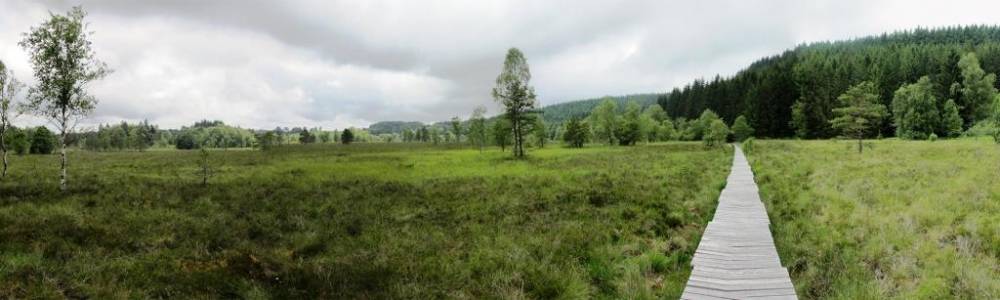 Parc naturel régional de Millevaches en Limousin | Fédération des Parcs naturels régionaux