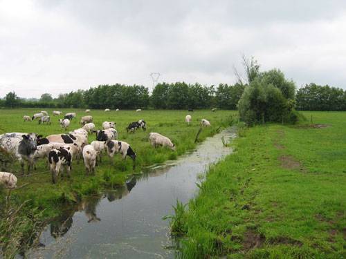 Avesnois | Fédération des Parcs naturels régionaux
