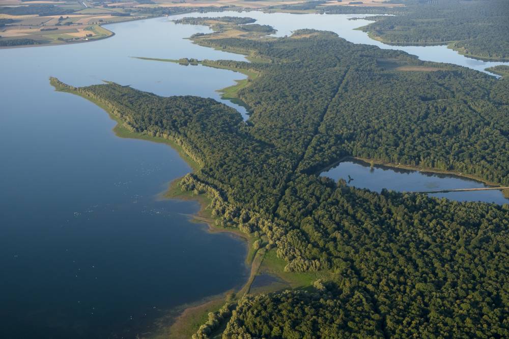 Réserve Naturelle Nationale de la Forêt d'Orient | Fédération des Parcs ...